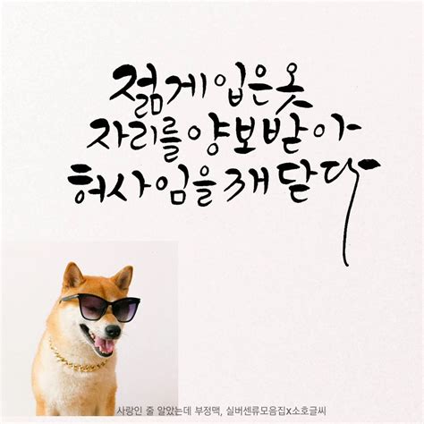 젊게 입은 옷 자리를 양보받아 허사임을 깨닫다 쓰무라 노부유키 ⠀ ⠀ 사랑인줄알았는데부정맥 실버센류 매일매일자란다 매일