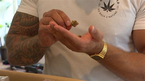 Bundeskabinett Bringt Cannabis Teillegalisierung Auf Den Weg Buten Un