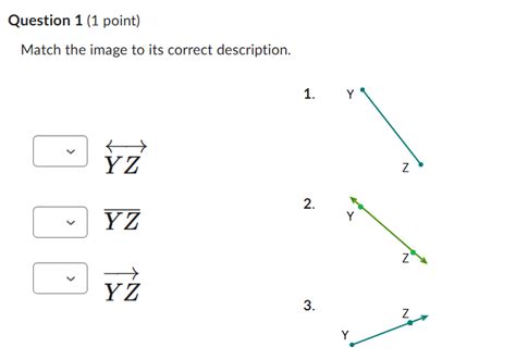 Question 1 1 Point Match The Image To Its StudyX
