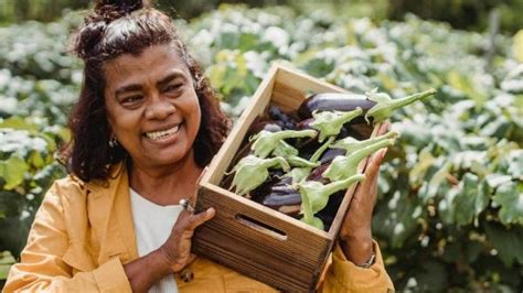 Daftar Manfaat Terong Untuk Lansia Awet Muda Hingga Cegah Pikun