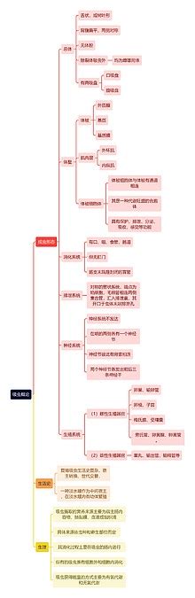 医学知识吸虫概论思维导图编号t6834804 Treemind树图