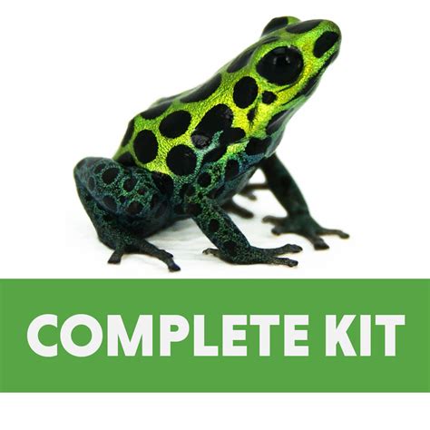 Dnd Dart Frog At Jasper Gunson Blog