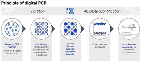 Qpcr Or Dpcr Choosing The Right Solution For Your Research Needs Biocompare The Buyers