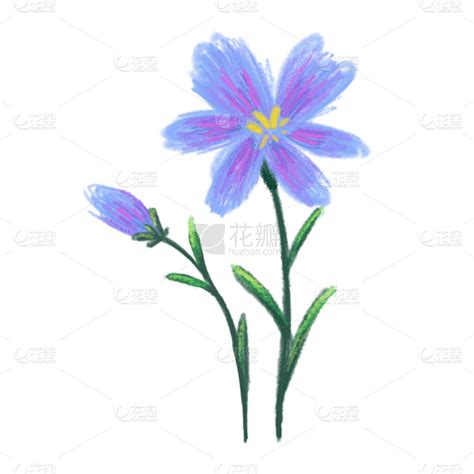 手绘 蜡笔花花小贴纸 紫罗兰