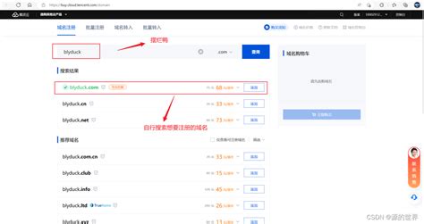域名申请 云服务域名应用部署（springboot项目） springboot 配置域名 csdn博客