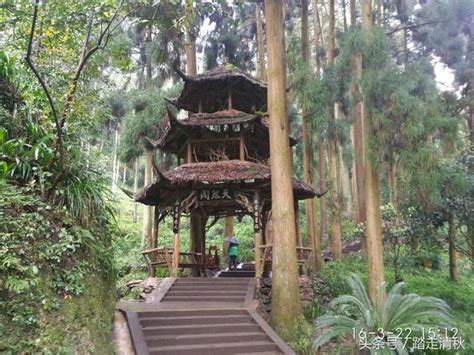 問道青城山道教名山 每日頭條