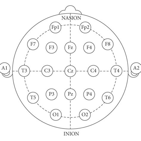 Eeg Electrode Layout On The Scalp Download Scientific Diagram