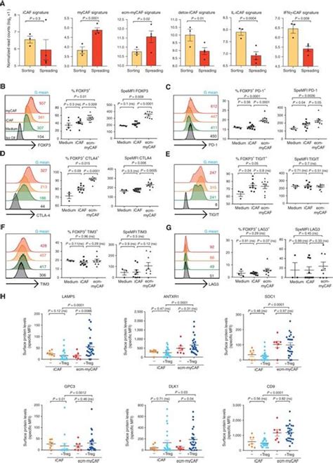 Single Cell Analysis Reveals Fibroblast Clusters Linked To