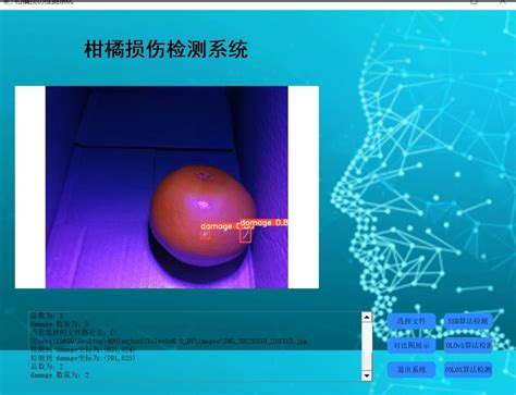 柑橘损伤检测系统源码＆部署教程＆数据集破损检测 数据集 Csdn博客