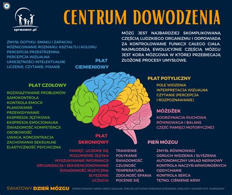 Infografiki SPR Centrum Wspierania Rodzin Rodzinna Warszawa