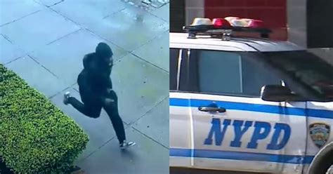 Homeless Nyc Thug On Parole For Assault Arrested For Punching Elderly Woman