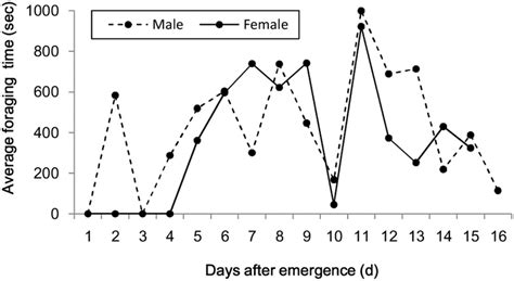 Daily Foraging Duration Of T Limniace The Y Axis Title Means The