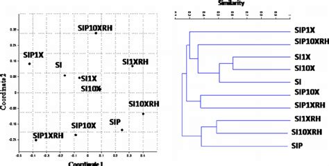 Upgma Dendrogram And Multivariate Statistical Analysis Of Nms Showing
