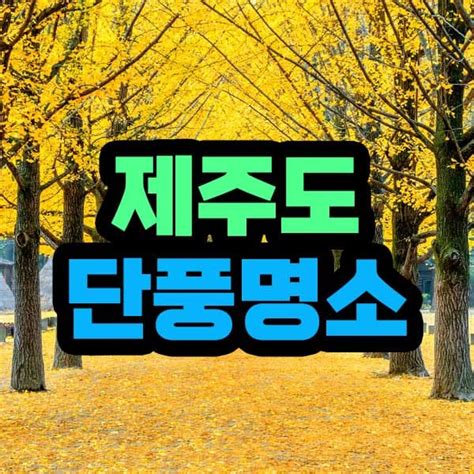 제주도 단풍 명소 베스트 7 및 가을 데이트장소 추천 여행지
