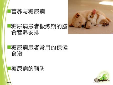 糖尿病患者锻炼期的膳食营养word文档在线阅读与下载免费文档