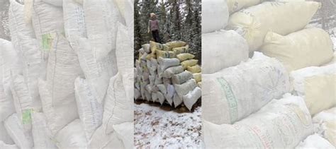 Кедровый орех в скорлупе купить в Улан Удэ Товары для дома и дачи Авито