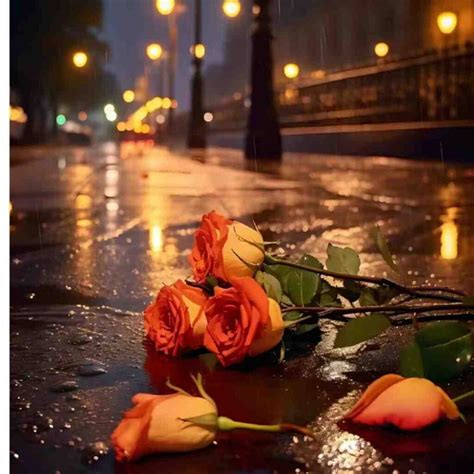 What Happens When You Stop Chasing An Avoidant Happy Life Logic