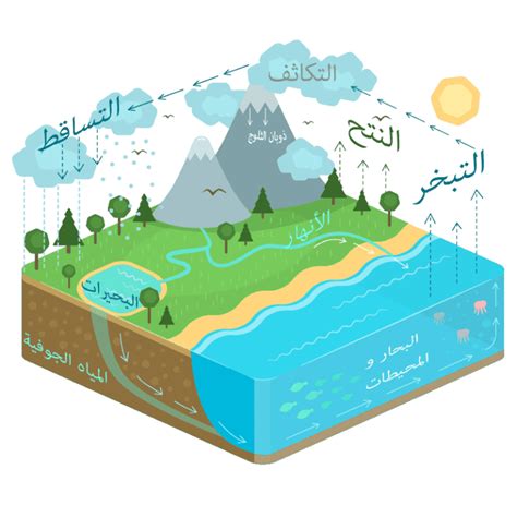 عندما يصل بخار الماء الى اعلى ماذا يحصل المرسال