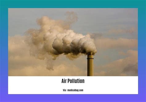 The Impact Of Air Pollution On Animals Understanding How Does Air