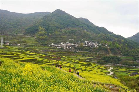 初春遇见 覆卮山覆卮山旅游攻略 游侠客社区