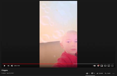 Chiggers R Youngpeopleyoutube