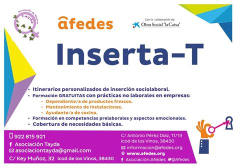 Inserta T Afedes Proyectos