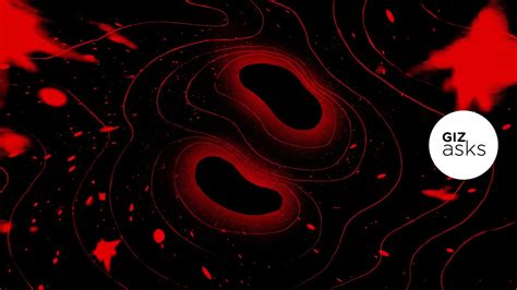 What Happens When Two Black Holes Collide