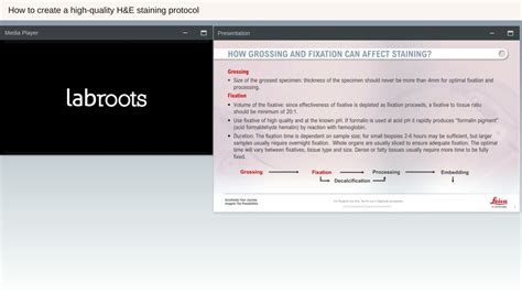 Master Hande Staining The 10 Step Protocol You Need To Know Researchhub Blog