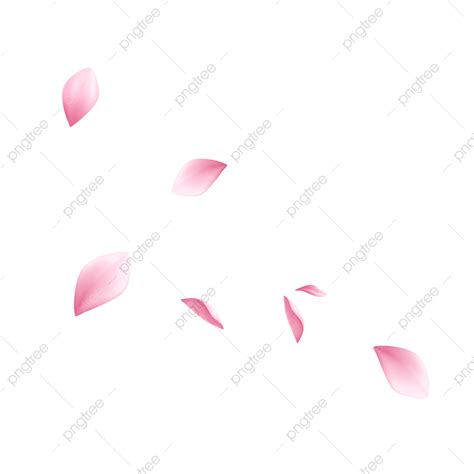 Floating Petals Hd Transparent Floating Element Pink Petals And Leaves