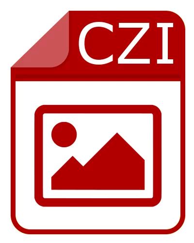 Czi 파일을 열거나 변환하는 방법은 무엇인가요