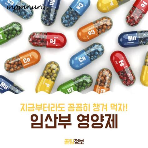 인슈랩 임산부 영양제 챙겨 먹기 임신 중에는 먹는 것뿐 아니라 태아와 산모를 위해서 챙겨야 할