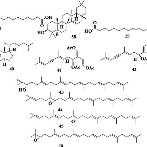 Pdf A Review On The Diversity Chemical And Pharmacological Potential