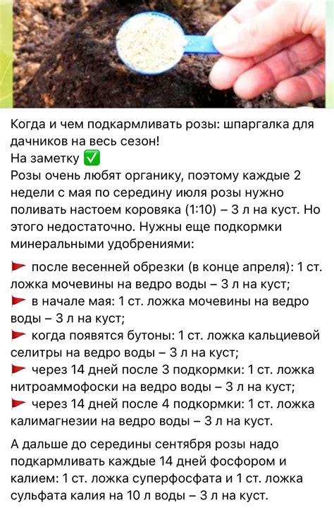 Пин от пользователя шестова жанна на доске Огород в 2025 г Идеи посадки растений Выращивание