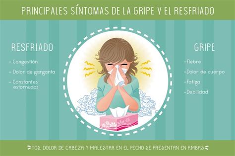 Remedios Caseros Para La Gripe Meditip