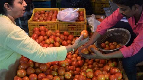 Tomato Price Soars As Supply Shrinks The Hindu