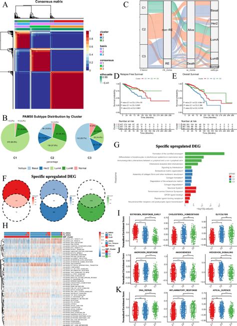 Transcriptome Wide Analysis Reveals Potential Roles Of Cfd And Angptl4