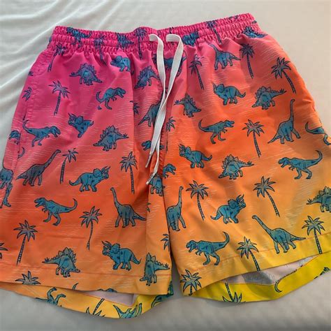 Dinosaur Chubbies Swim Shorts Size Medium Worn Once Depop
