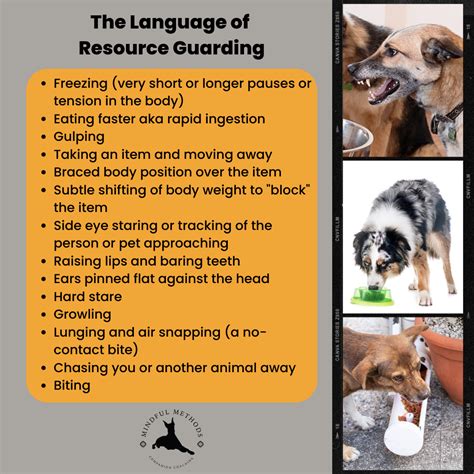 Resource Guarding — Mindful Methods Companion Coaching