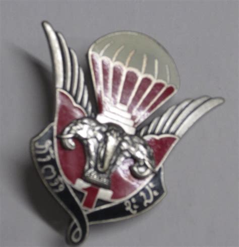 France Paratroops Rare Chest Badge Of The 1 Btg Laotian Catawiki