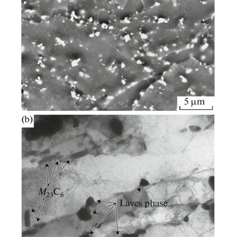 A Sem Image And B Tem Image Of Microstructure Of Investigated Steel