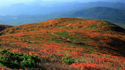 栗駒山を望む宮城県栗原市で泊まるならここ！おすすめホテル2選 Skyticket 観光ガイド