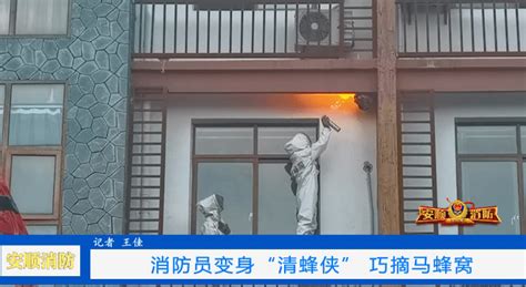 消防员变身“清蜂侠”巧摘马蜂窝关岭县群众员工