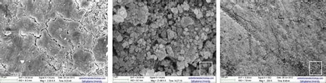 Scanning Electron Micrographs Of Cylindrical Mortar Specimens Of Nc