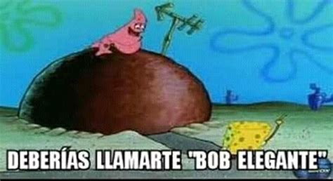 Deberías llamarte Bob Elegante Memes divertidos Memes de bob