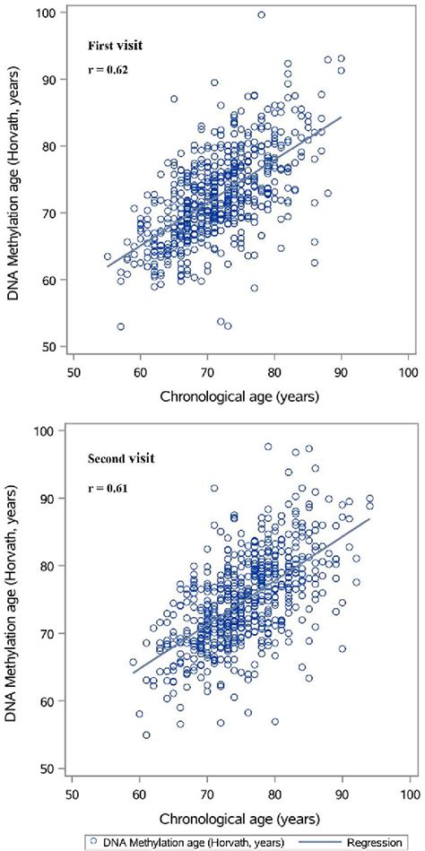 Figure 1 From Accelerated Dna Methylation Age And The Use Of Antihypertensive Medication Among