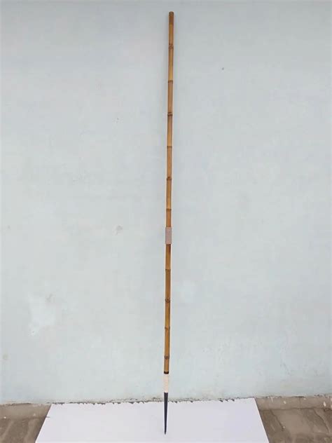 Multicolor Aluminium Alloy Javelin Throw Stick For Athletic At ₹ 522 Piece In Meerut