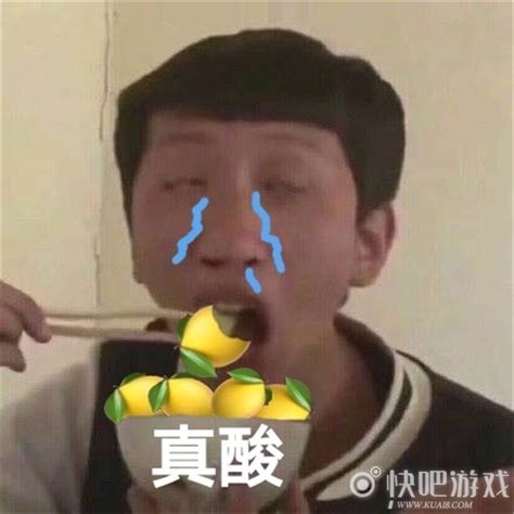我好酸啊表情包 我好酸啊热门表情包大全 2 快吧单机游戏