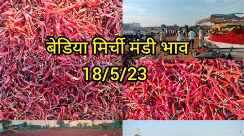 बेडिया मिर्ची मंडी भाव18 5 23लाल मिर्ची भाव सबसे बड़ी मिर्ची मंडी भाव Mr Rajkumar Blog Youtube