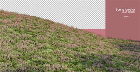 Premium Psd 3d Rendering Of Various Grasses
