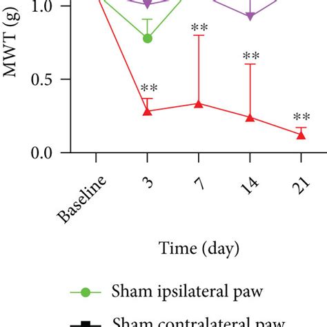 Sirt3 Expression Is Downregulated In The Spinal Cords Of Mice With